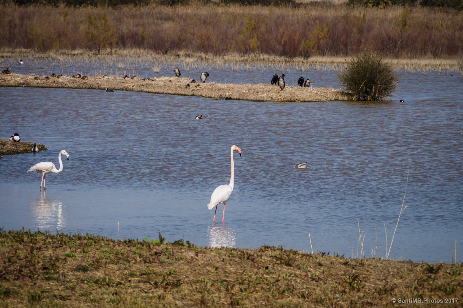 La Marisma de las Filipinas, una reserva natural a cuatro pasos de ...