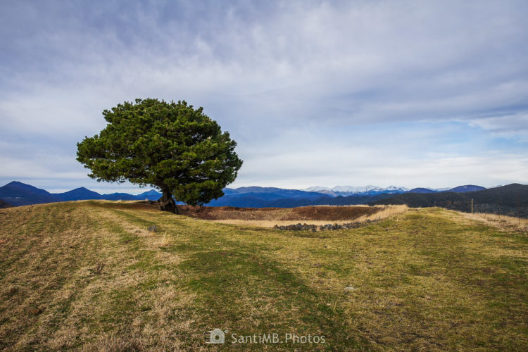 La Serra de Molera y sus volcanes en la Garrotxa - Fotohiking